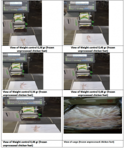 Container Inspection Reports - ISO Compliance